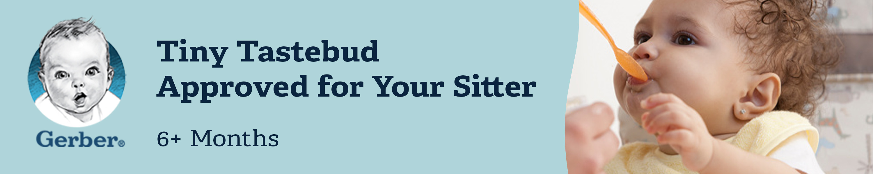 Amazon.ca: GERBER: Sitter