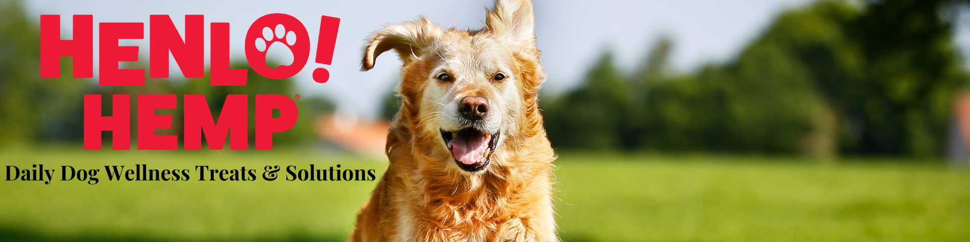 Amazon.com: Henlo Hemp
