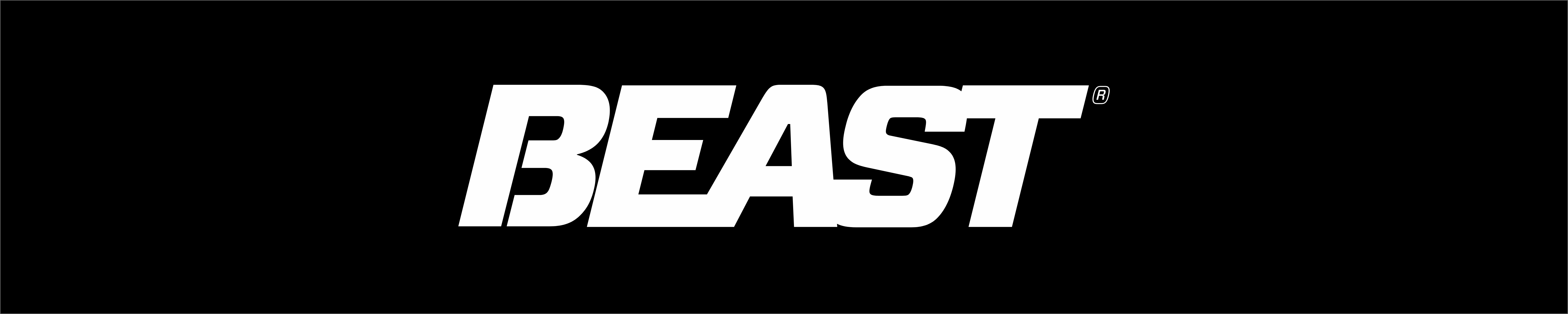 Amazon.com: Beast Sports