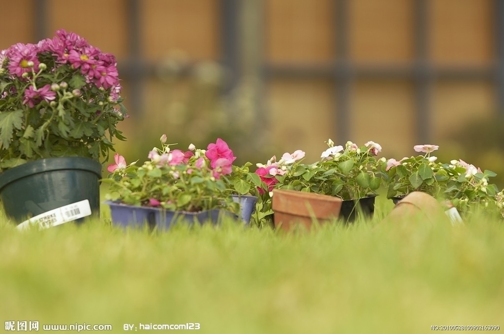 Amazon.com: YUIOP: Garden & Outdoor