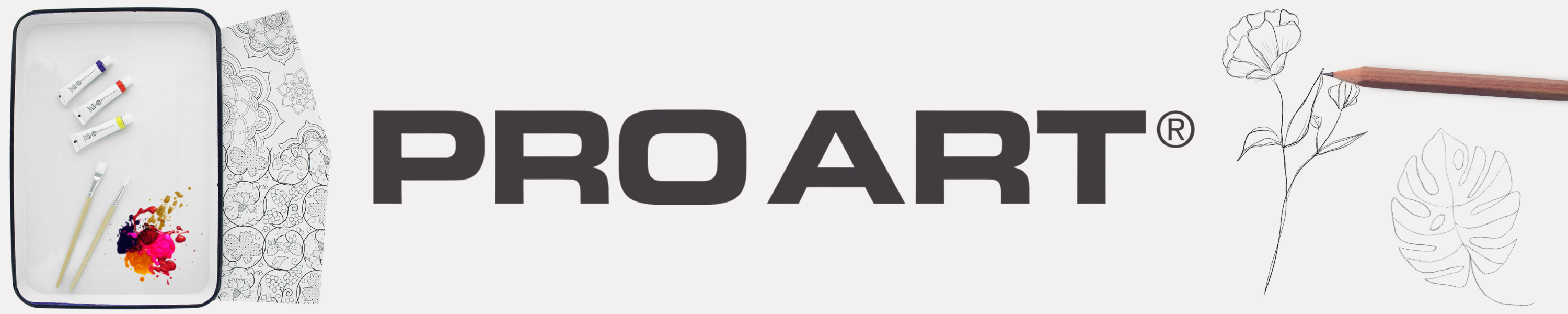 Amazon.com: Pro Art: Paint