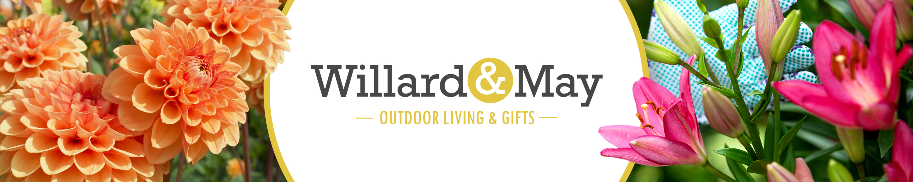 Amazon.com: Willard & May: Spring & Summer Planted Bulbs