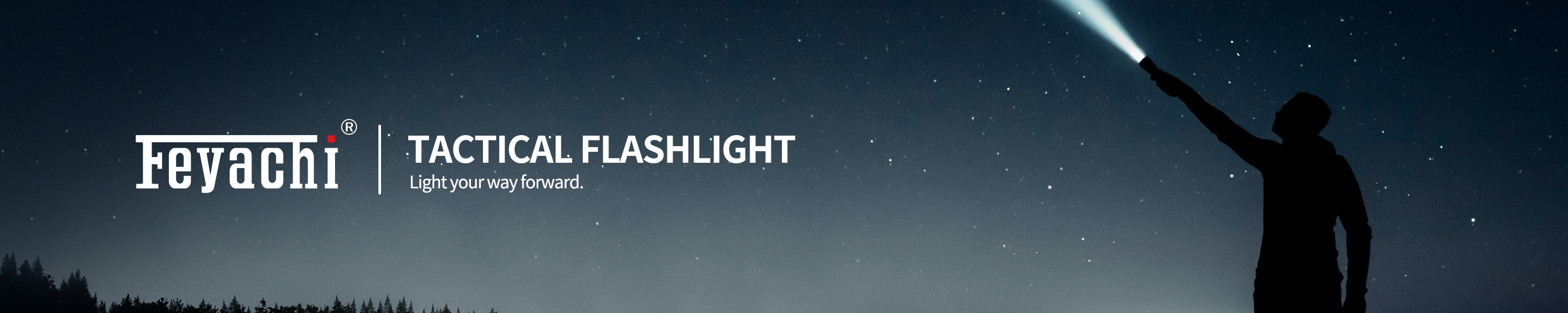 Amazon.com: Feyachi: Lights