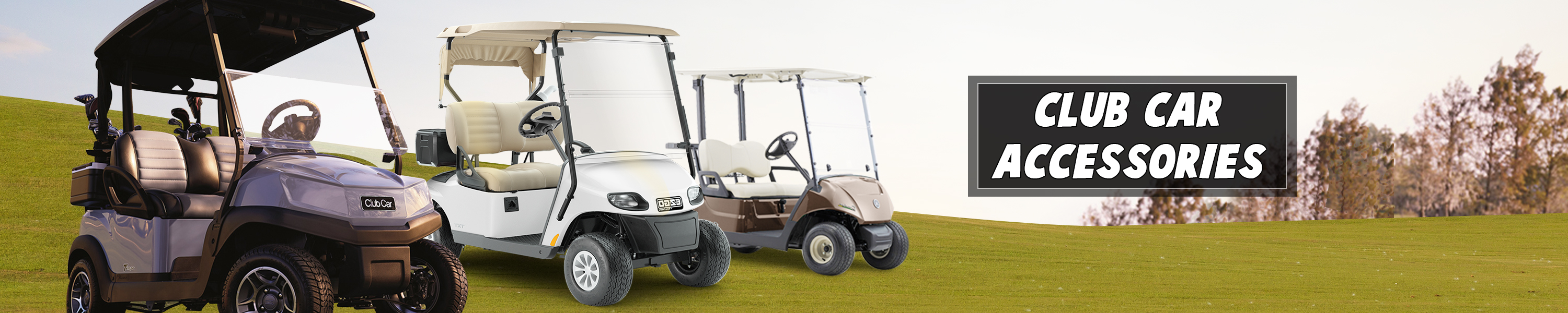 Amazon.com: CLUBRALLY: CLUB CAR DS ACCESSORIES