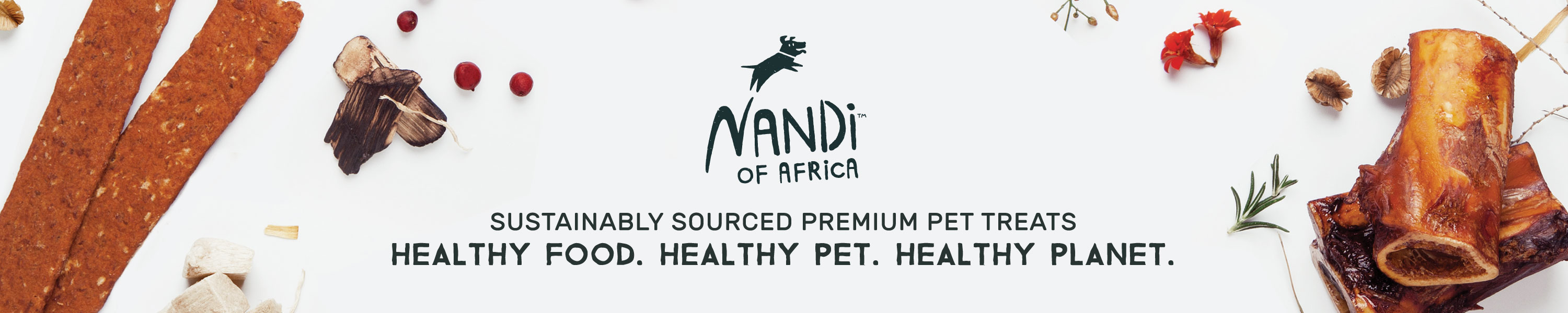 Amazon.com: Nandi