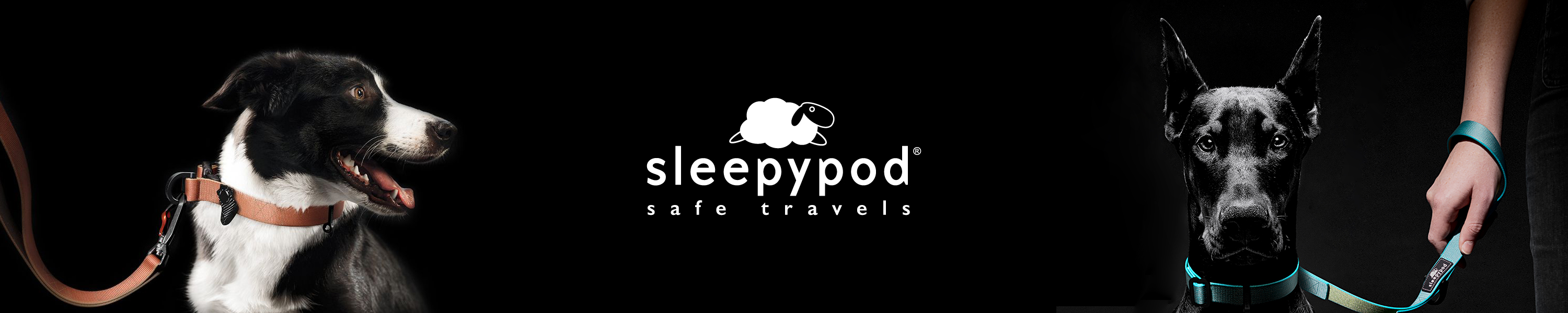 Amazon.com: Sleepypod
