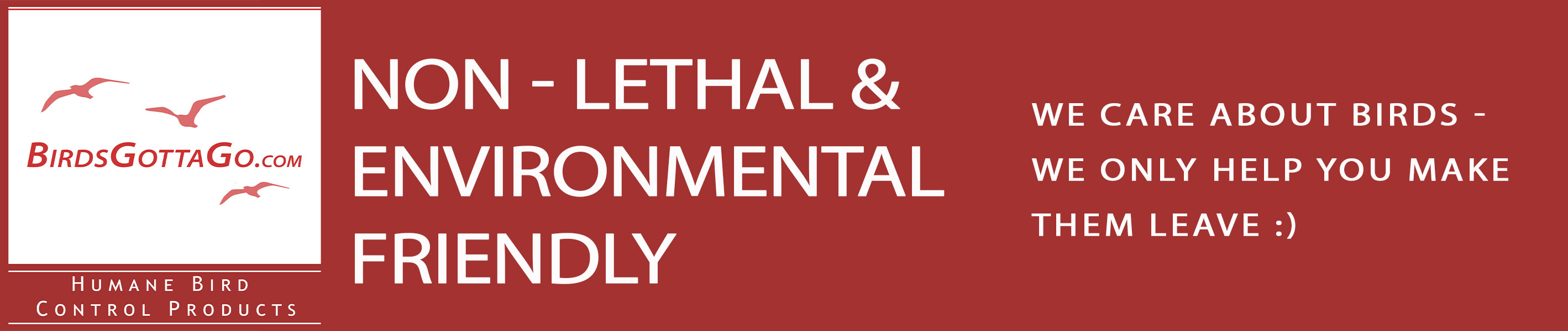 Amazon.com: BirdBusters: Dead Crow effigy