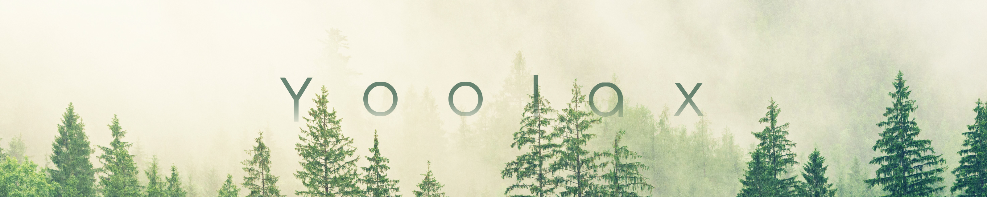 Amazon.com: Yoolax : Glass door