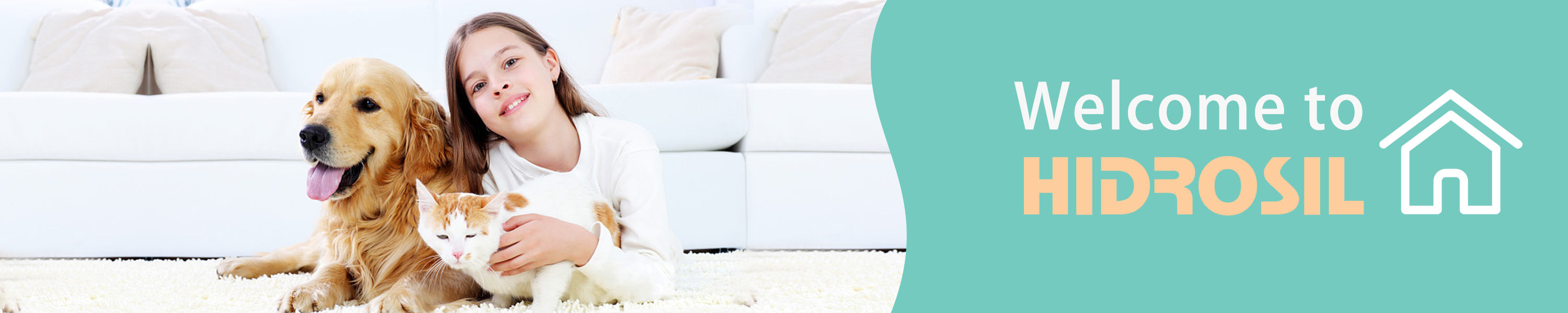 Amazon.com: HIDROSIL