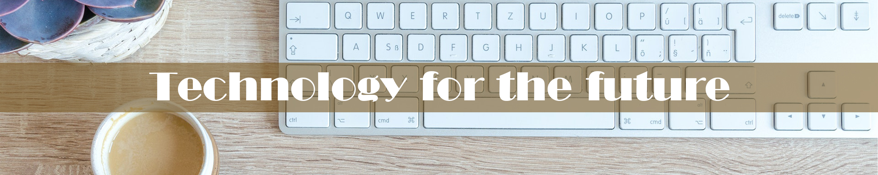 Amazon.com: TechRise: AUDIO