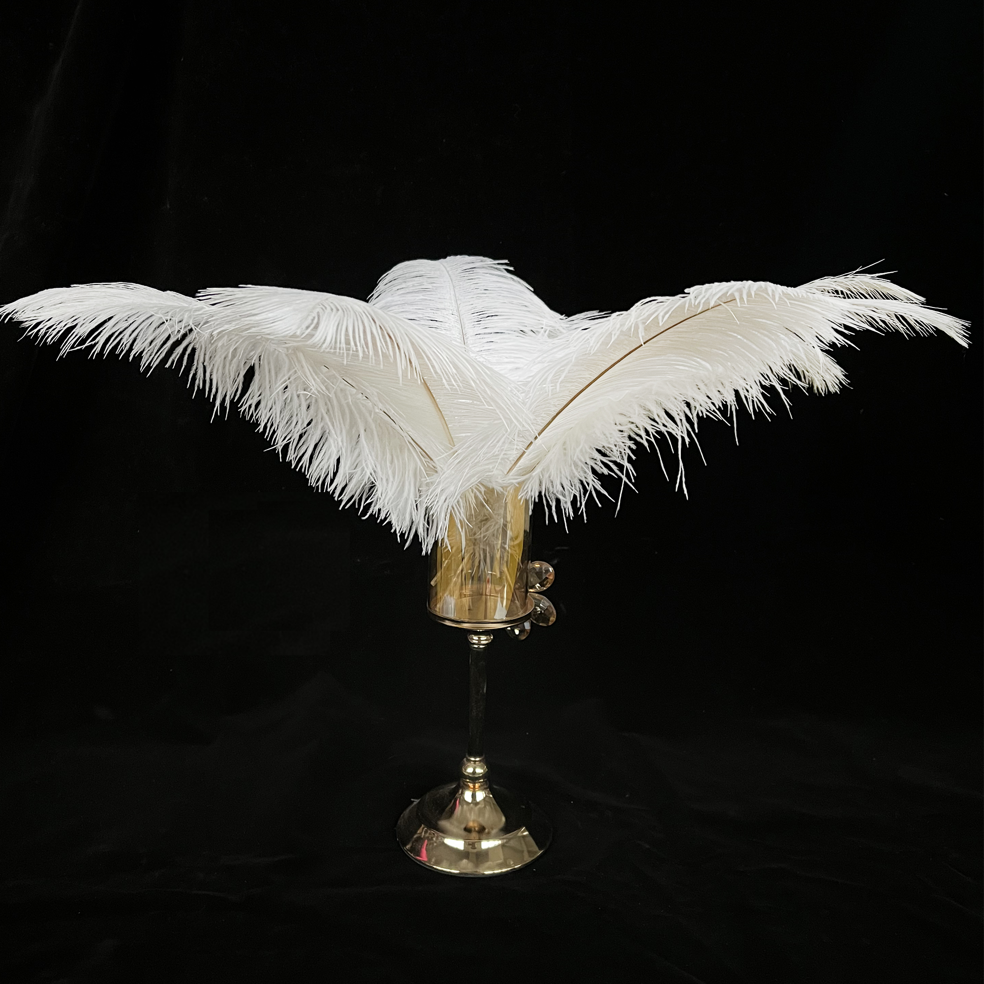 Amazon.com: Supply High Quality Feathers: Ostrich Feathers