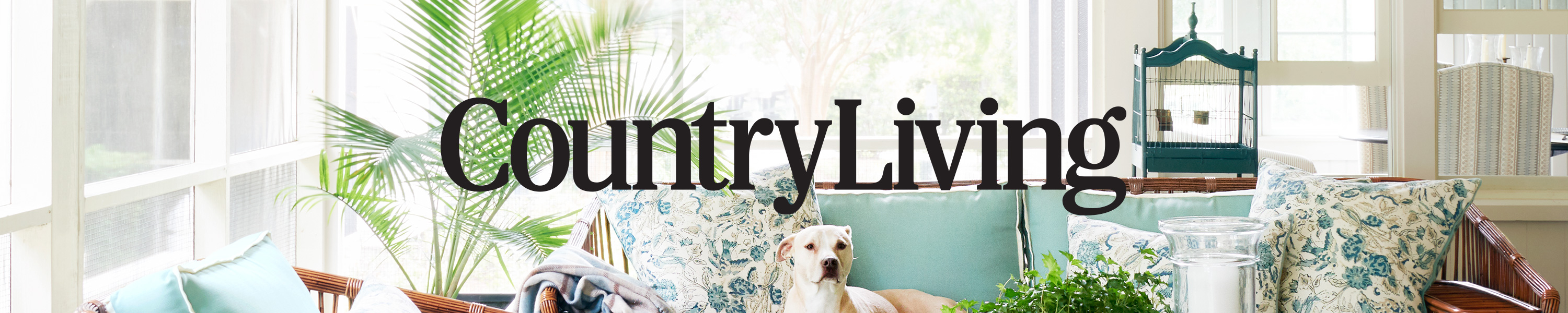Amazon.com: Country Living: Books & Calendars