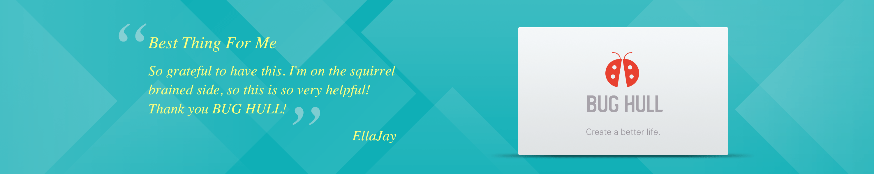 Amazon.com: BUG HULL