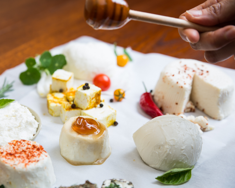 Amazon.com: Urban Cheesecraft: Dairy Free Cheesemaking Kits