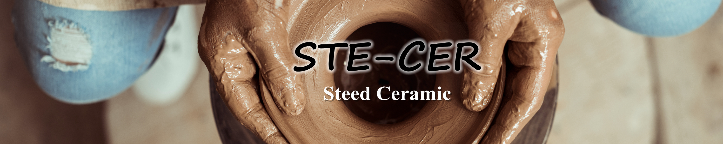 Amazon.com: STE-CER: ALL PRODUCTS