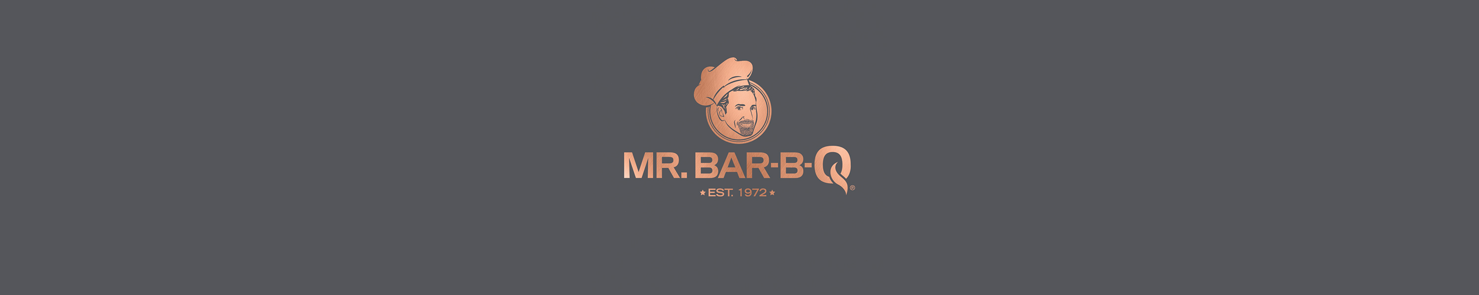 Amazon.com: Mr. Bar-B-Q