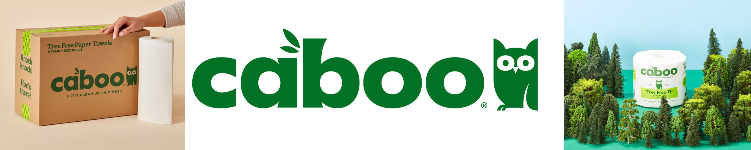 Amazon.com: Caboo: Paper Towels