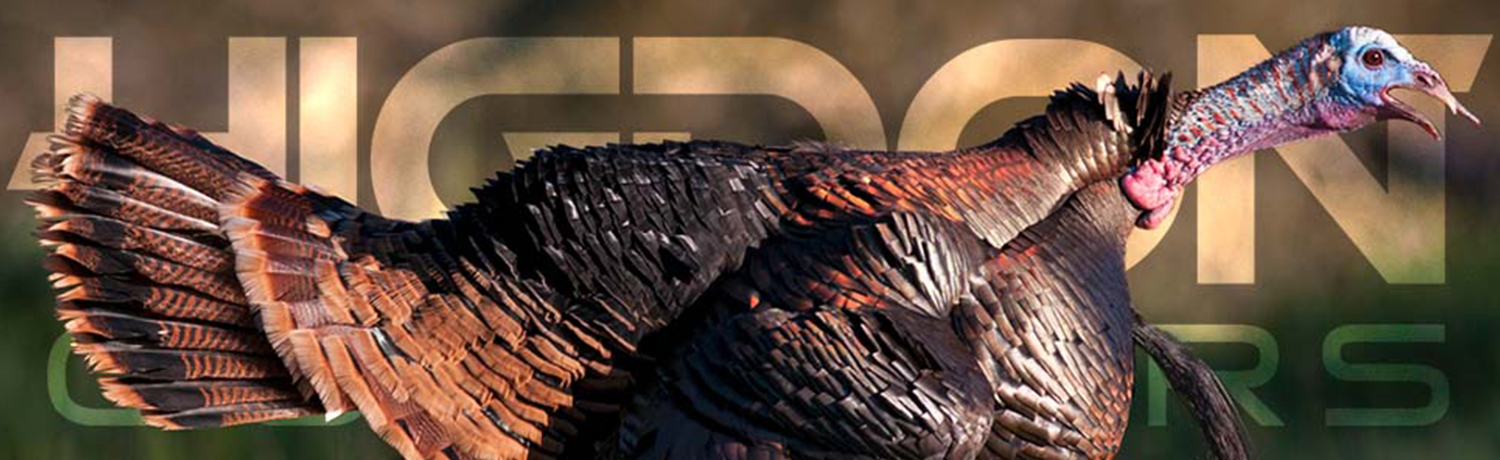 Amazon.com: Higdon Outdoors : Turkey Decoys