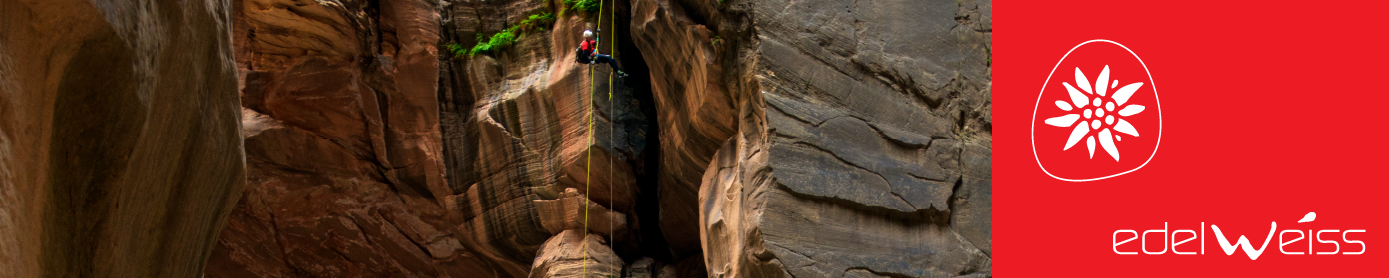 Amazon.com: Edelweiss