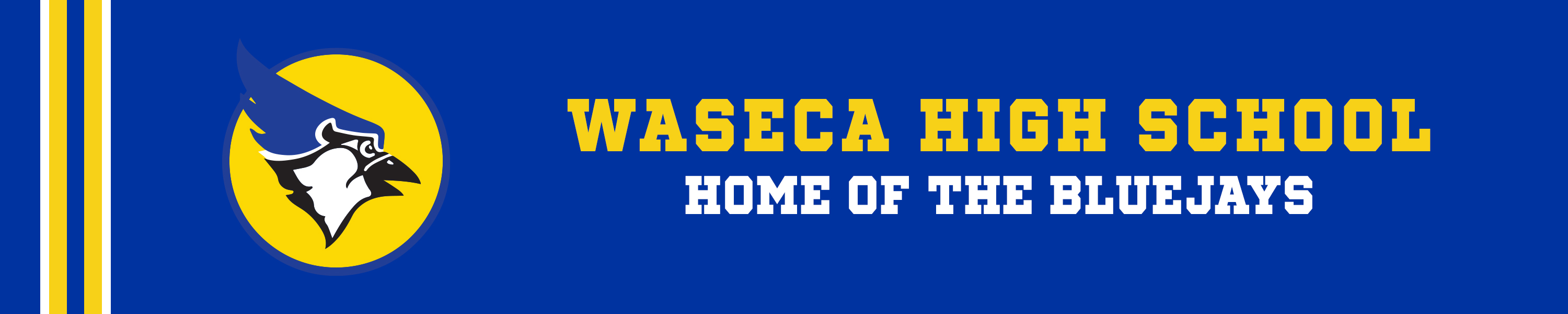 Amazon.com: Waseca High School Bluejays: Raglans