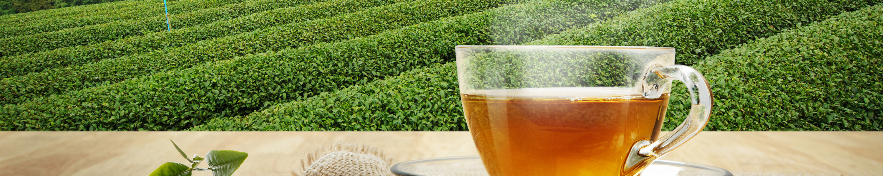 Amazon.com: Infini Vita: Tea by Benefits