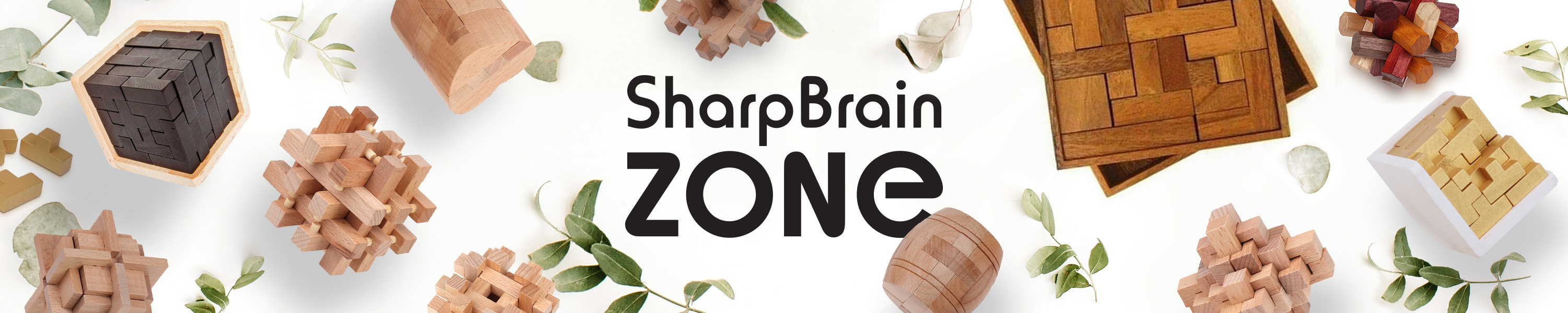 Amazon.com: Sharp Brain Zone