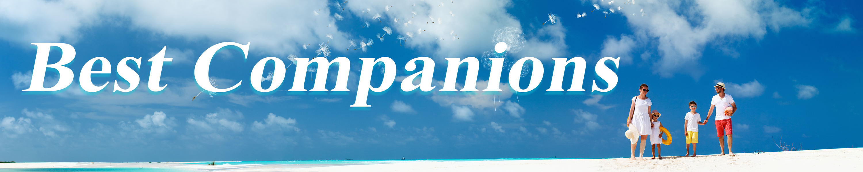 Amazon.com: Best Companions