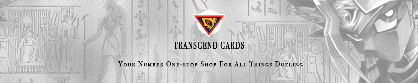Amazon.com: Transcend Cards