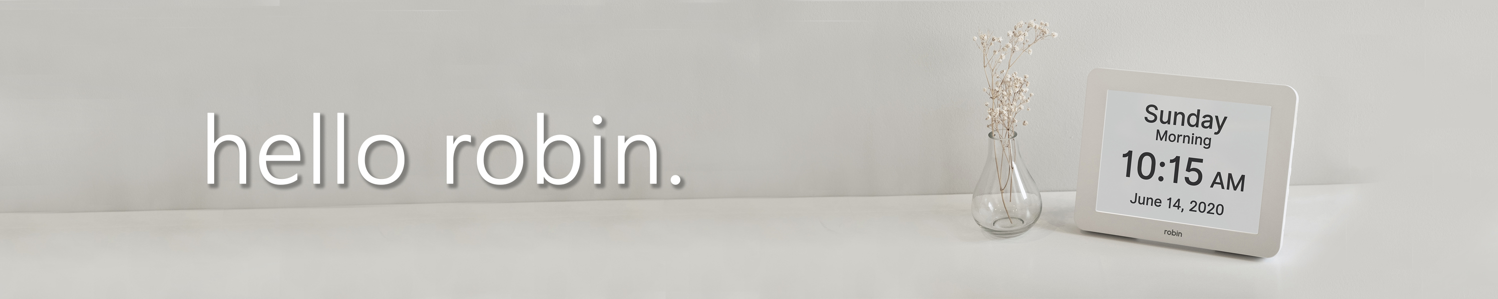 Amazon.com: Robin: Day Clocks