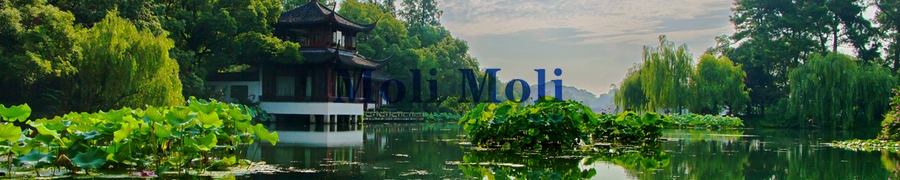 Amazon.com: Moli Moli Hair: About Moli Moli