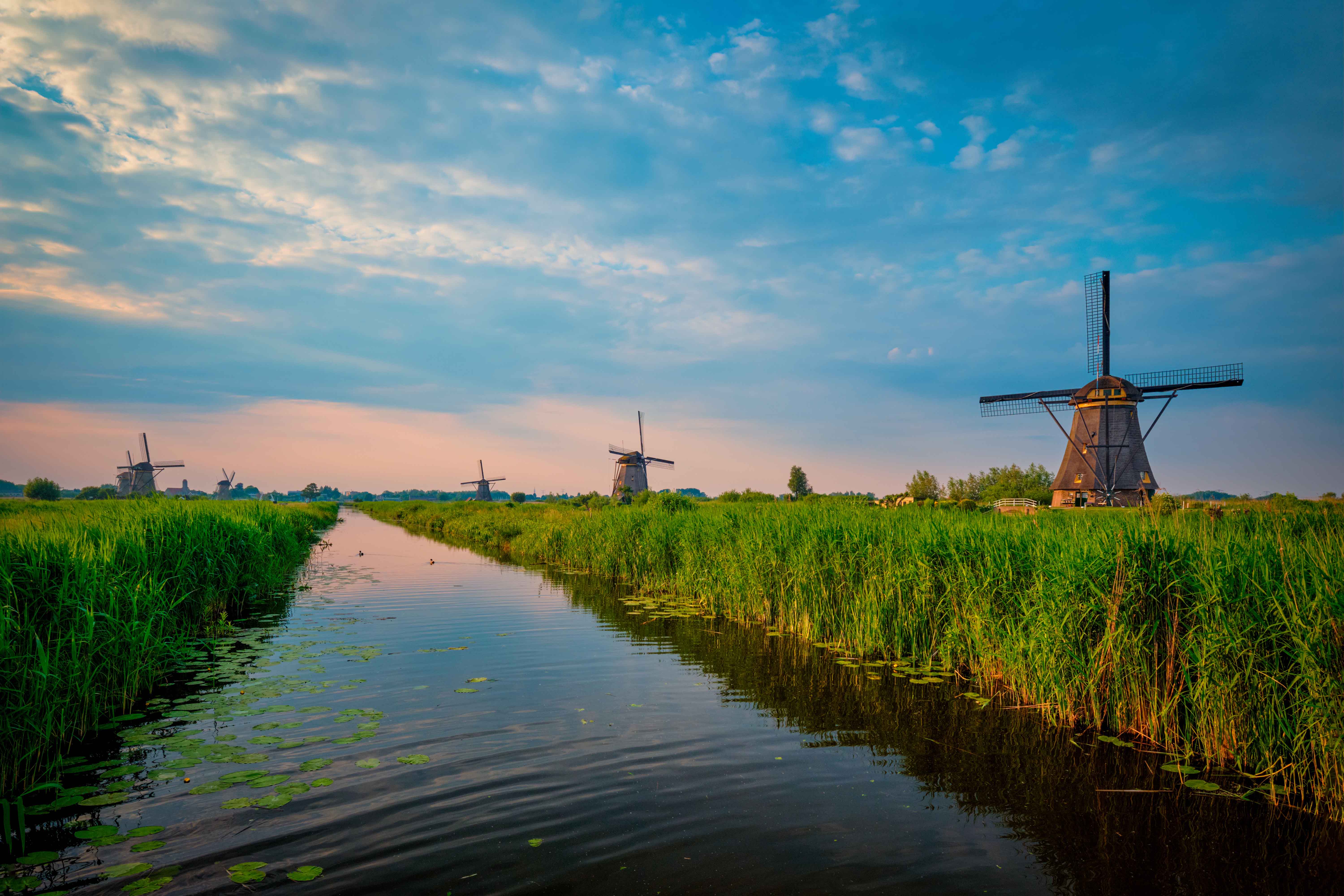 Amazon.com: Family Heritage Gifts: Netherlands Phone Accessories