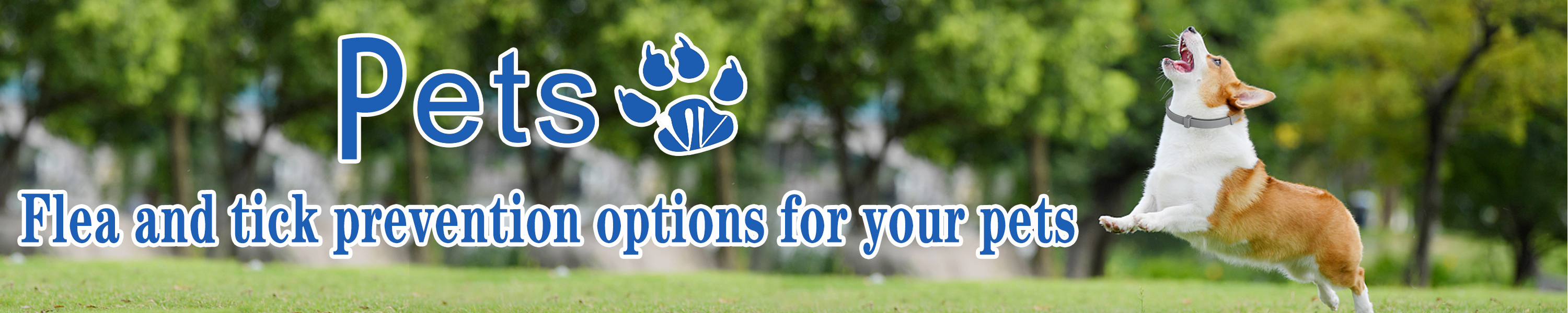 Amazon.com: Pets vv: Dog Blanket