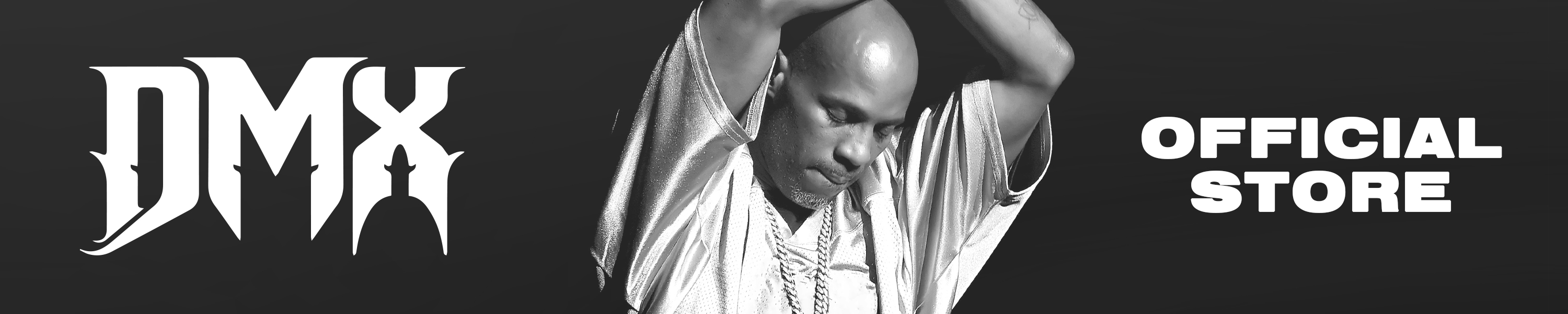 Amazon.com: DMX