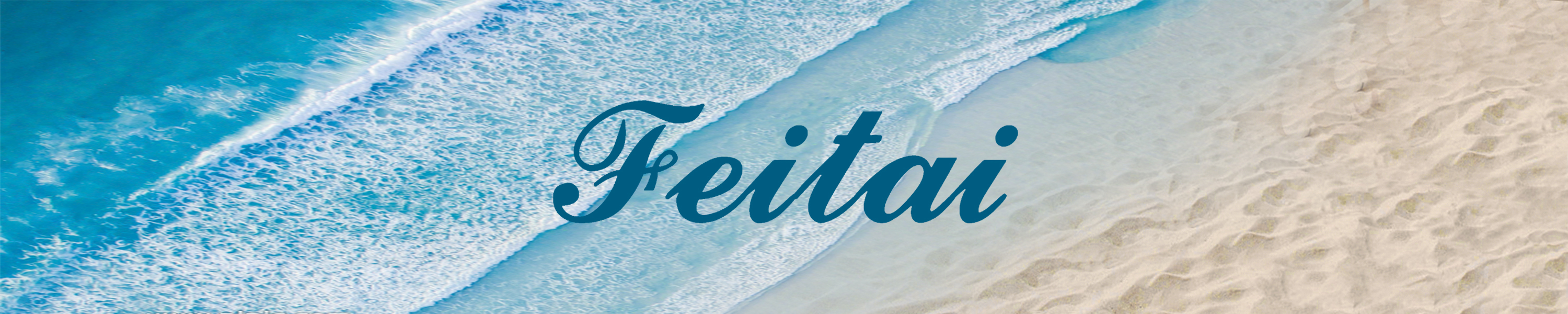 Amazon.com: FEITAI : NEW RELEASES