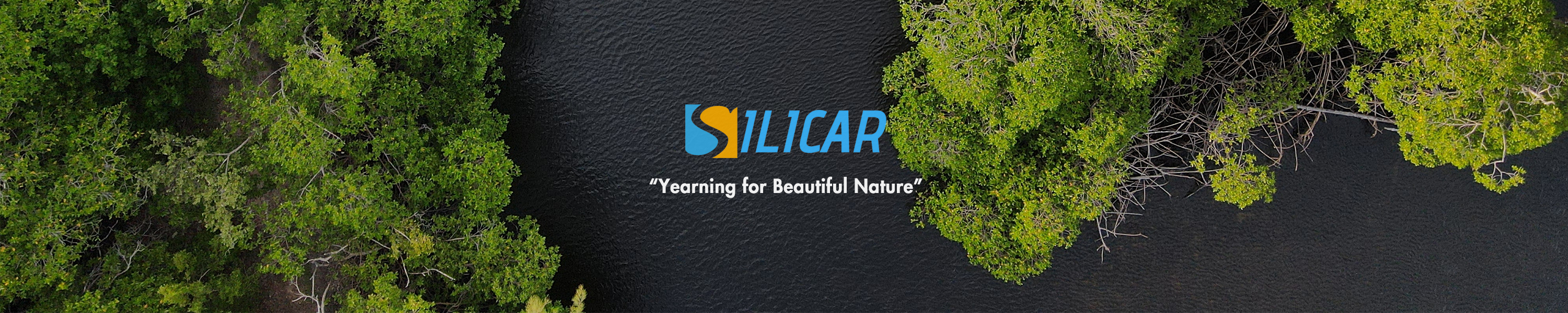 Amazon.com: SILICAR: REPTILE SUPPLIES